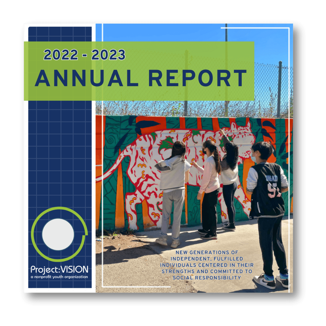 Home - Project: VISION